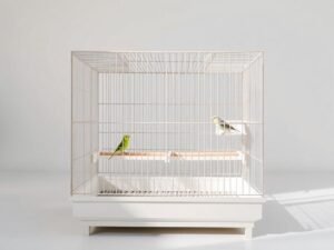 How to DIY a Bird Cage: An Easy Guide for Bird Owners