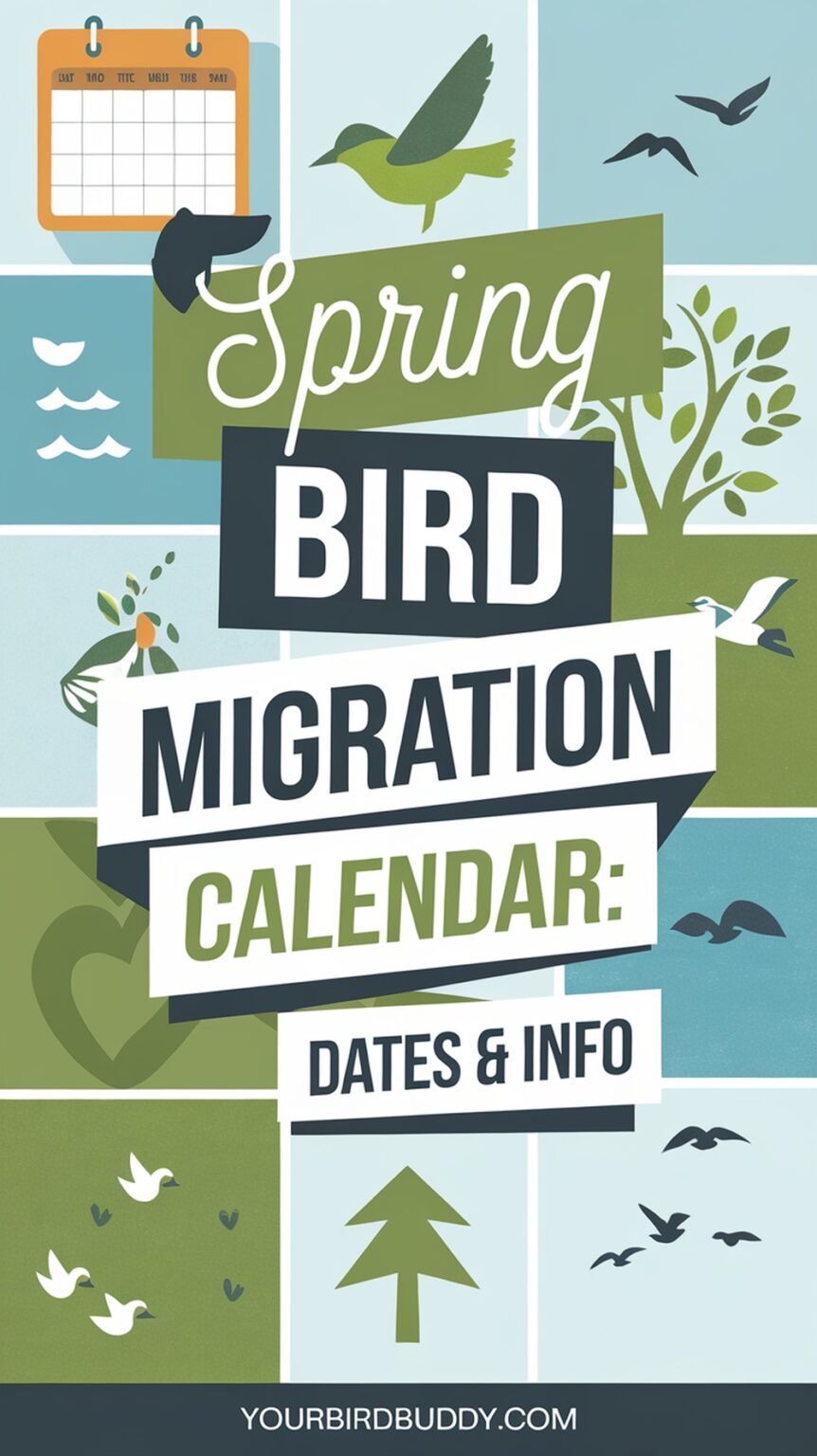 Spring Bird Migration Calendar: Dates & Info