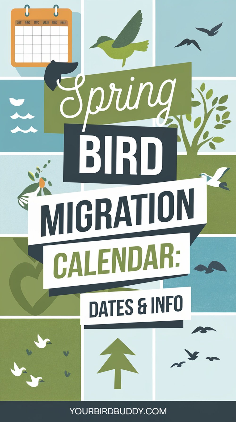 Spring Bird Migration Calendar: Dates & Info